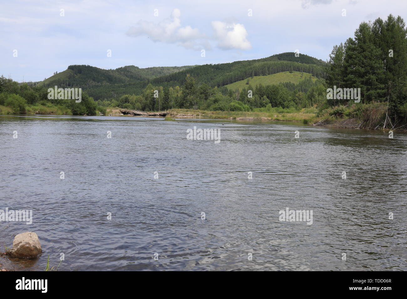 The mordaoga forest park hi-res stock photography and images - Alamy