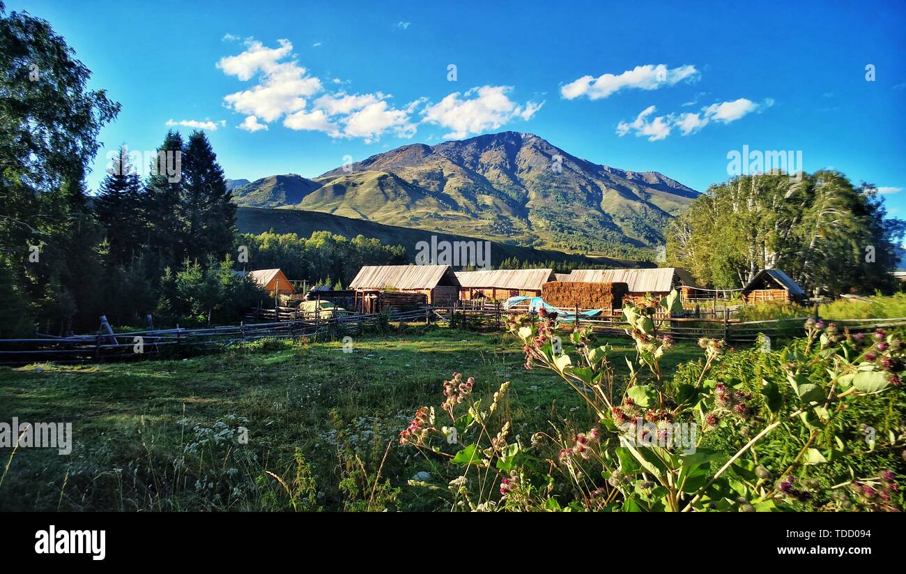 The Tuwa... with the grasses Stock Photo - Alamy