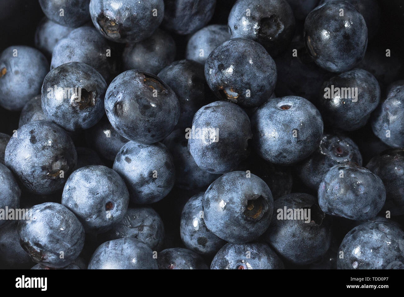 Life is full of berries hi-res stock photography and images - Alamy
