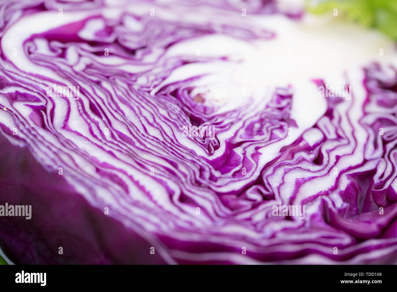 Cut close hi-res stock photography and images - Alamy