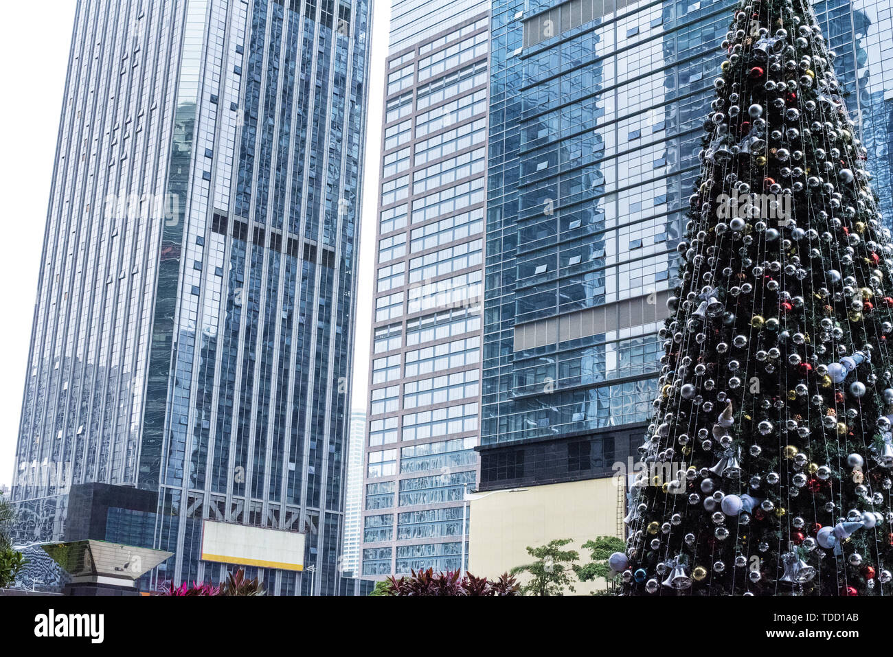 City architecture with Christmas tree Stock Photo - Alamy