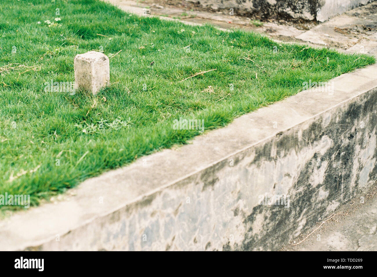 Life is a scroll Stock Photo - Alamy