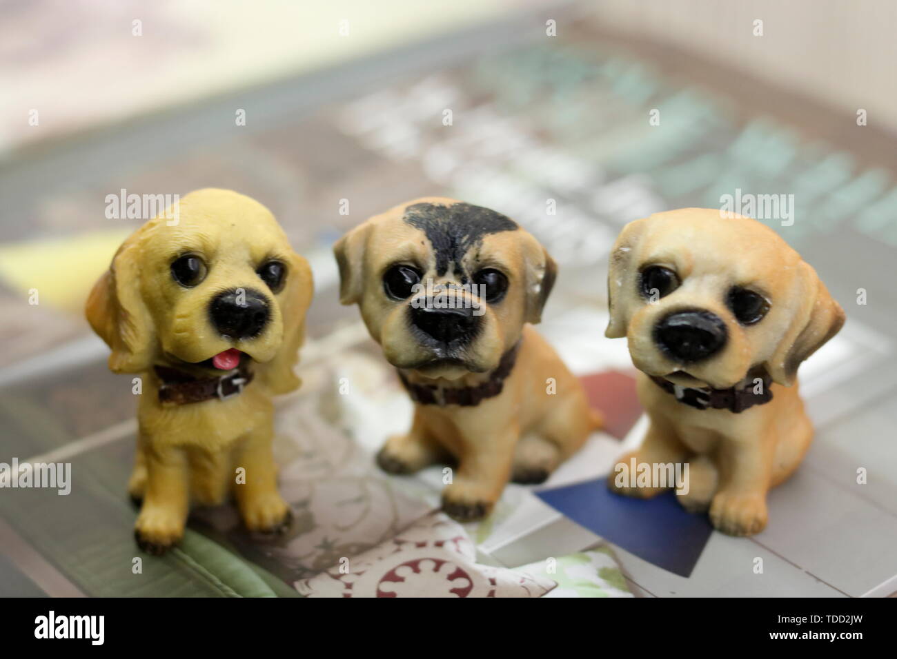 Still life with dog hi-res stock photography and images - Alamy