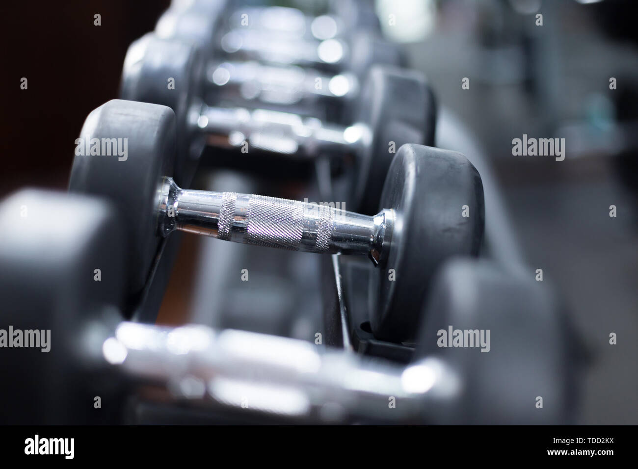 dumbbells in modern gym Stock Photo - Alamy