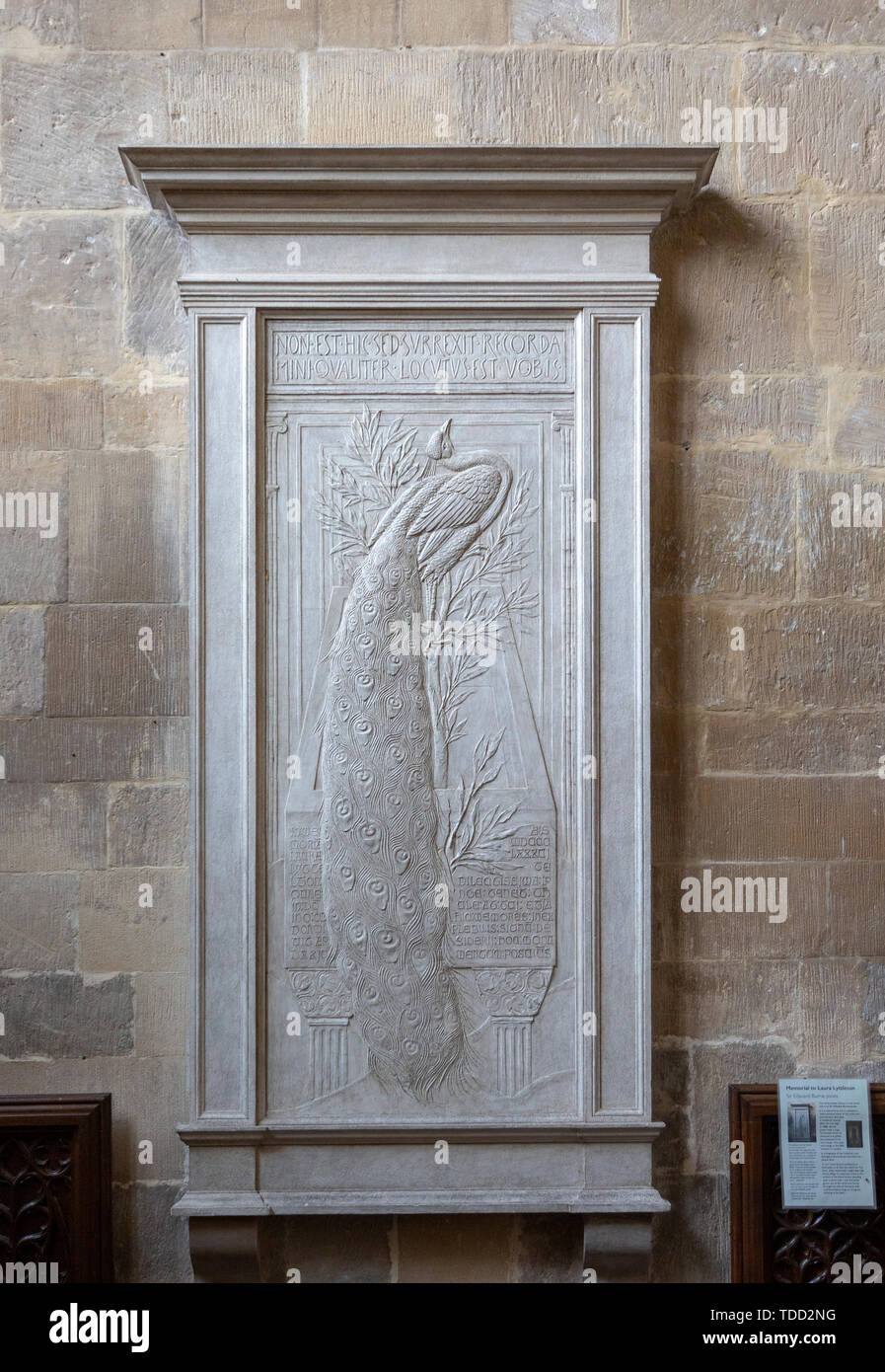 White gesso plaque memorial of a peacock 1886 by Edward Burne-Jones for ...