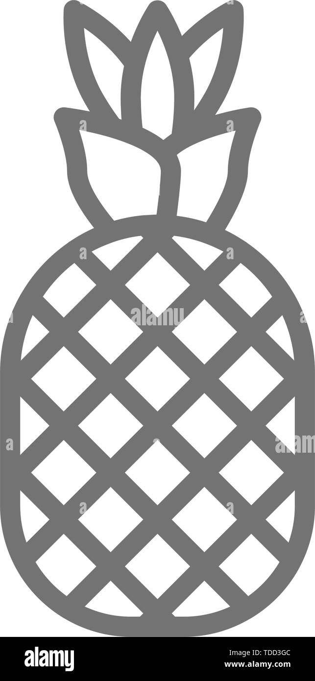 Vector pineapple, fruit line icon Stock Vector Image & Art - Alamy
