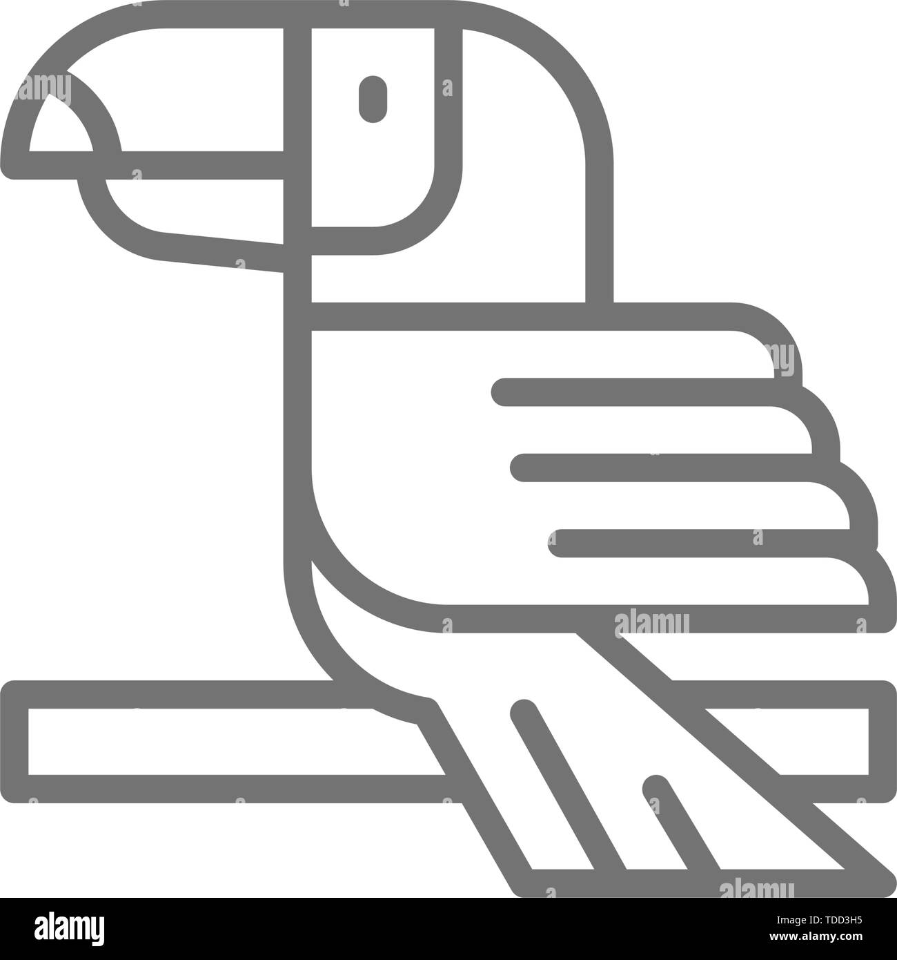 Toucan brazil Black and White Stock Photos & Images - Alamy