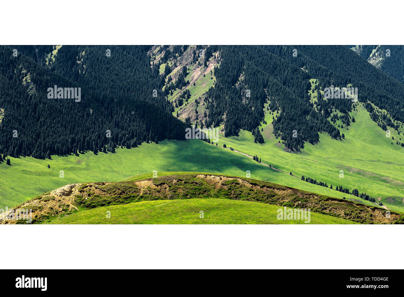 Beautiful scenery of Xinjiang Stock Photo - Alamy