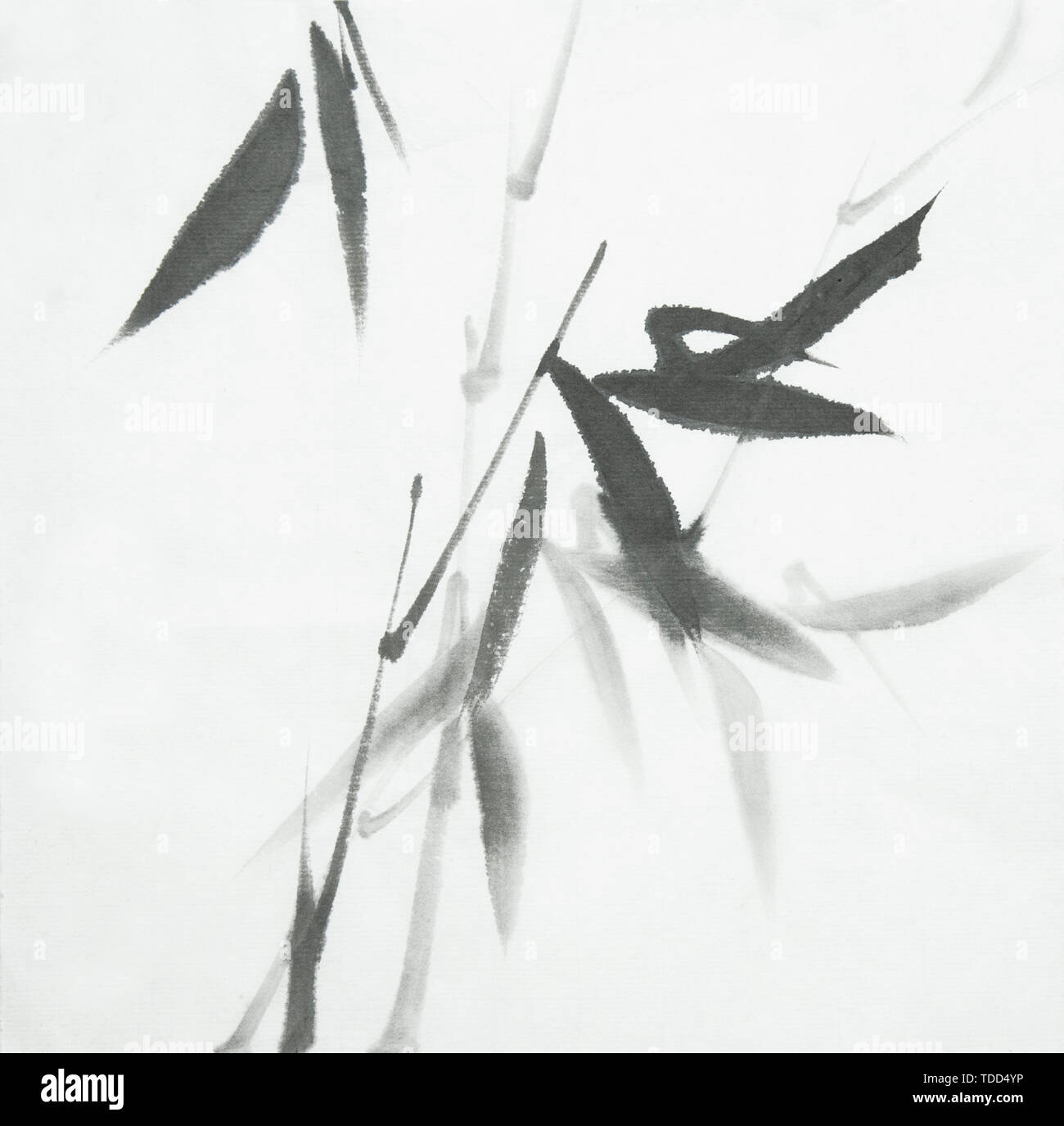 Ink bamboo hi-res stock photography and images - Alamy