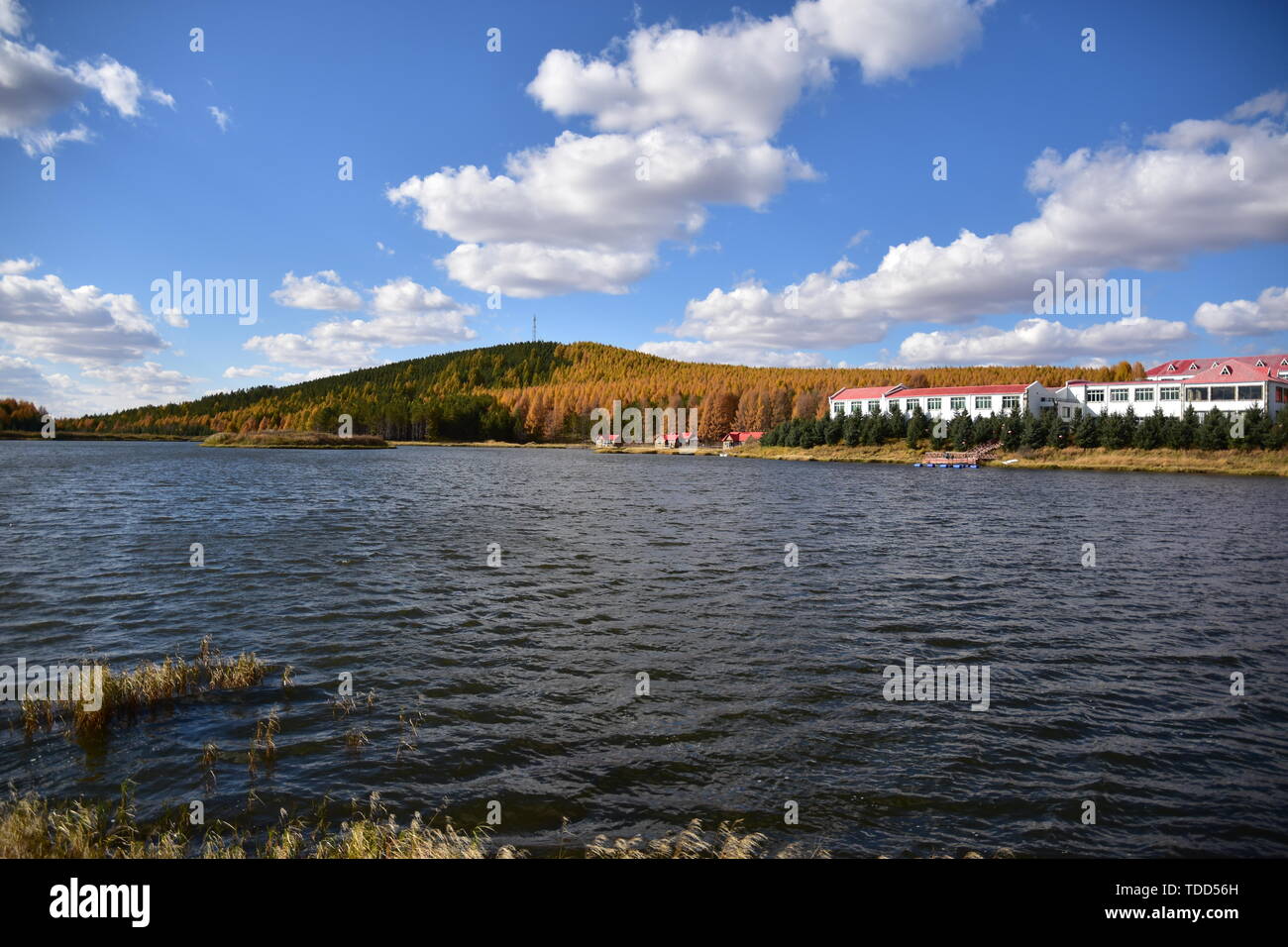 Saihanba dam on the prairie hi-res stock photography and images - Alamy