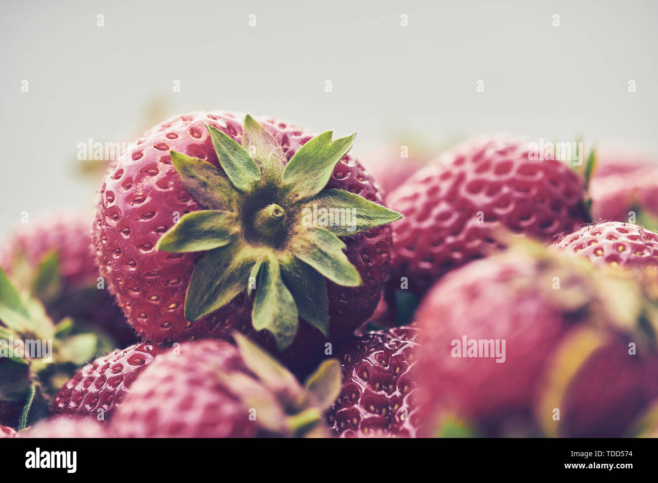 bright color picture of fresh plucked strawberries Stock Photo - Alamy