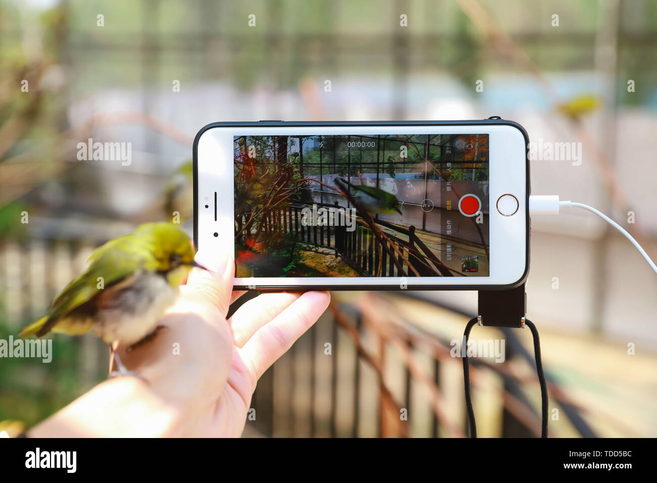 Intimate photos of lovesick interacting with people Stock Photo - Alamy