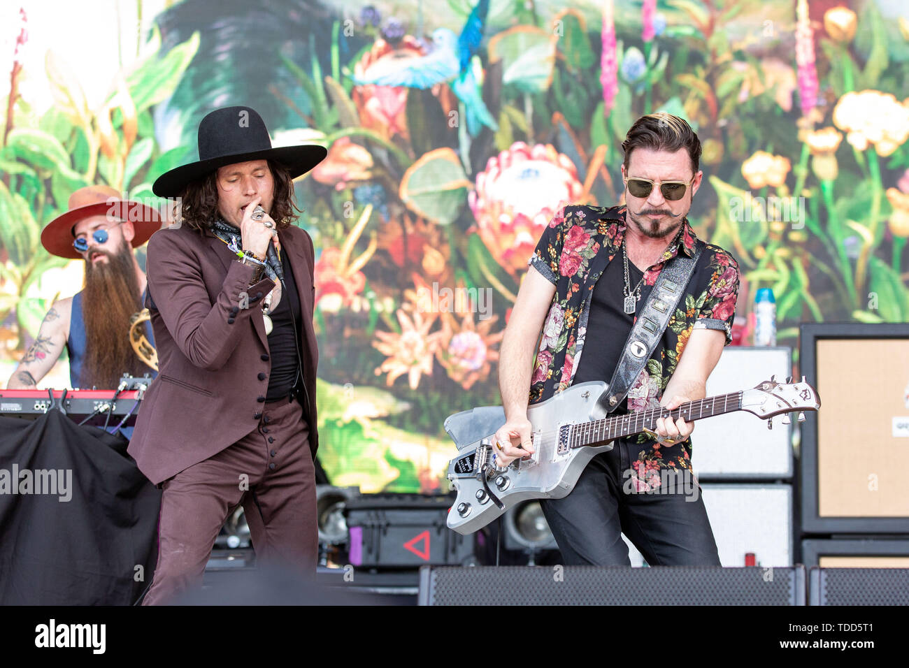 Daniel ogren hi-res stock photography and images - Alamy