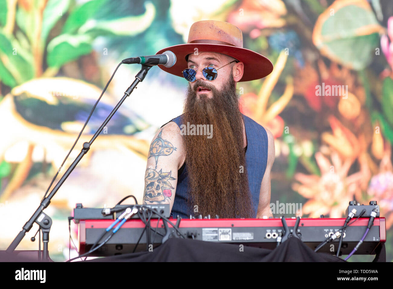 June 14, 2019 - Manchester, Tennessee, U.S - TODD OGREN of Rival Sons ...