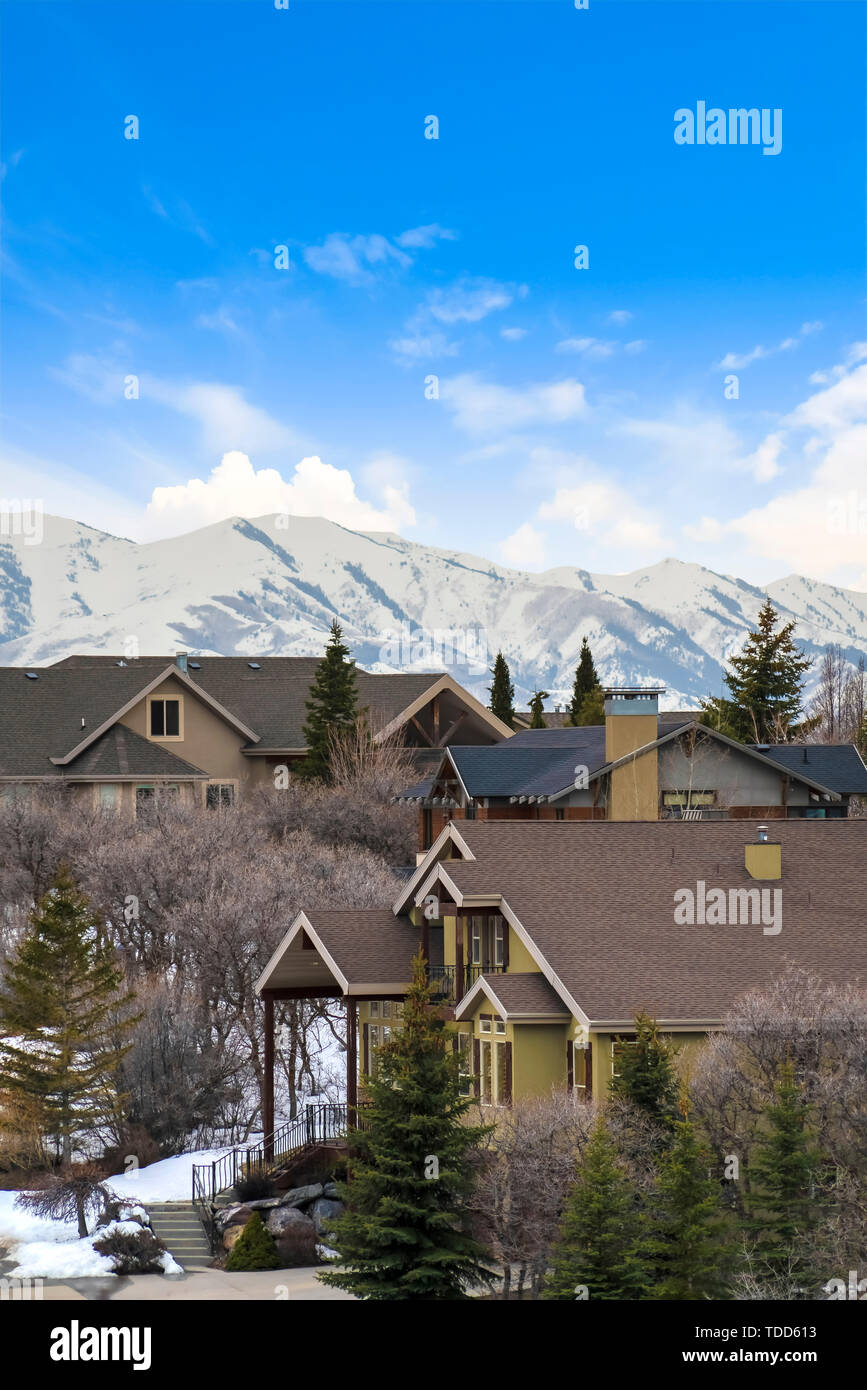 Exterior view of homes amid snow covered ground and trees in winter. A ...