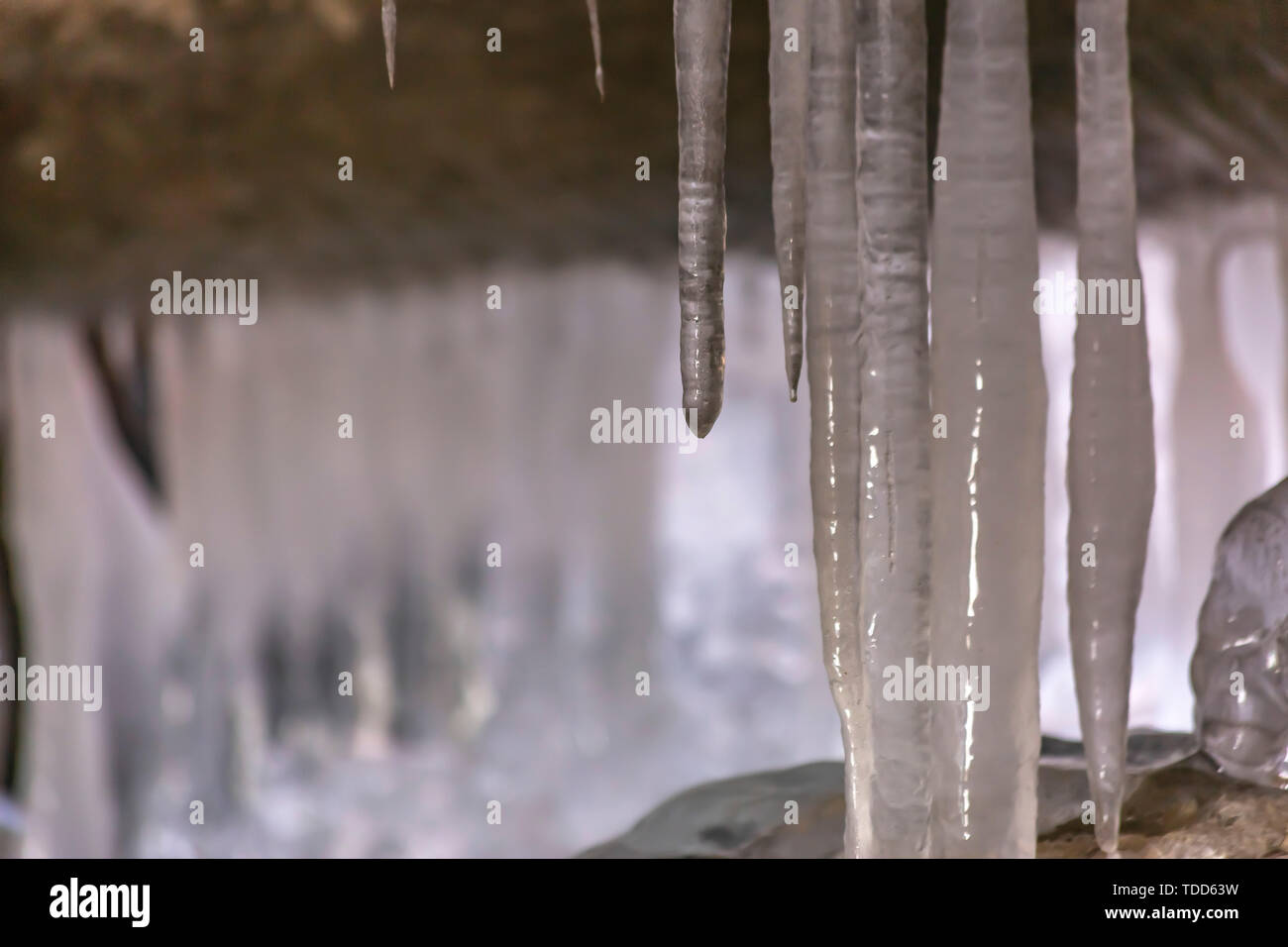 Close up view of smooth and shiny icicles under a bridge in winter ...