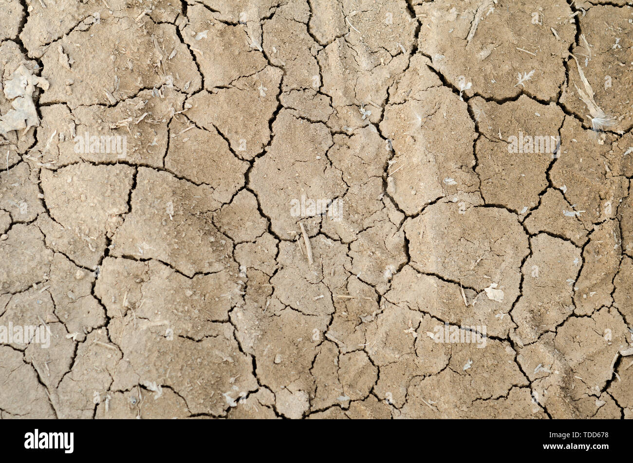 Rough wasteland hi-res stock photography and images - Alamy