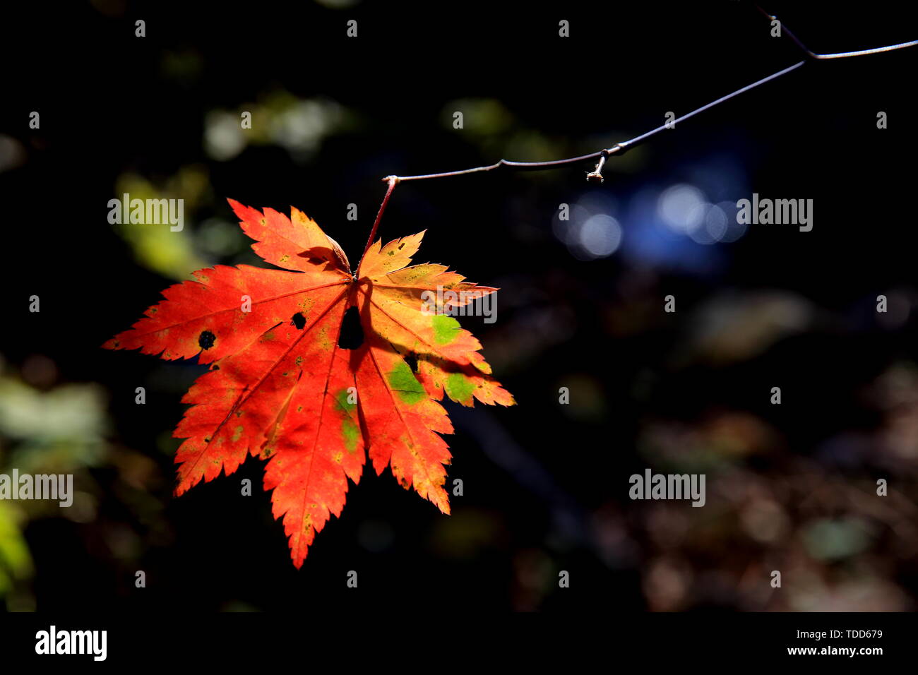 Remain red hi-res stock photography and images - Alamy