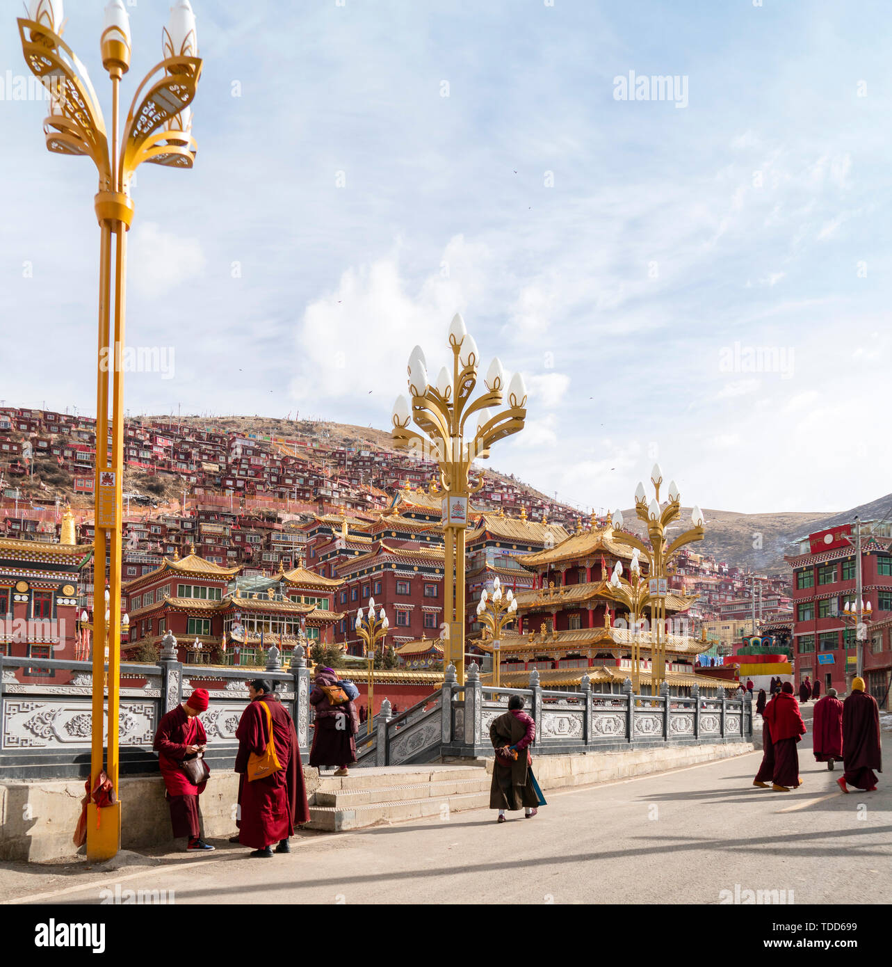 Sindi hi-res stock photography and images - Alamy