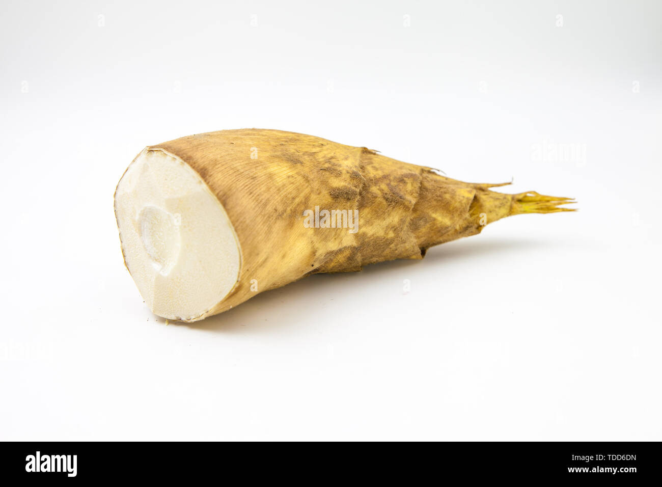 Cut bamboo shoots hi-res stock photography and images - Alamy