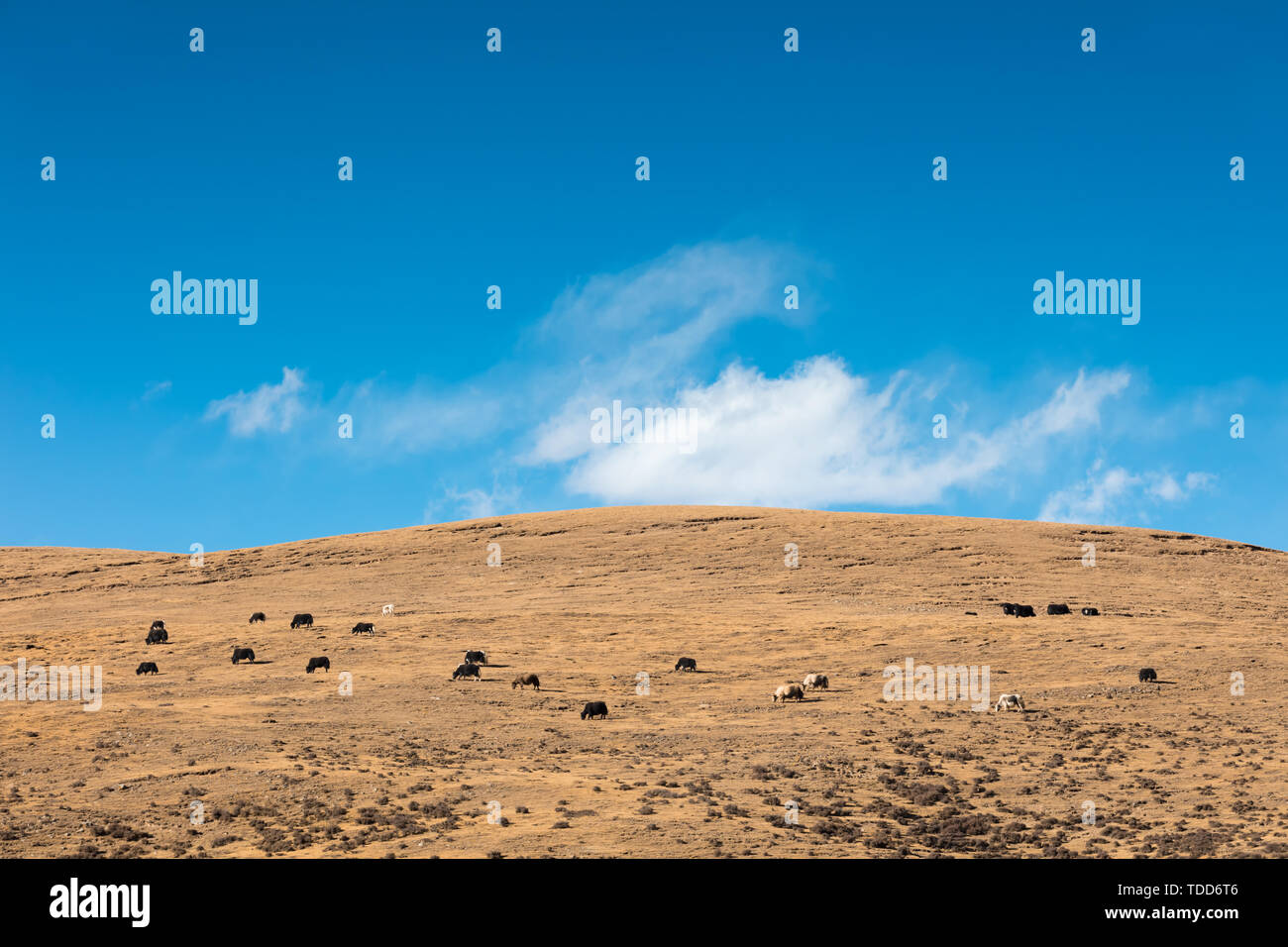 Sangji city hi-res stock photography and images - Alamy