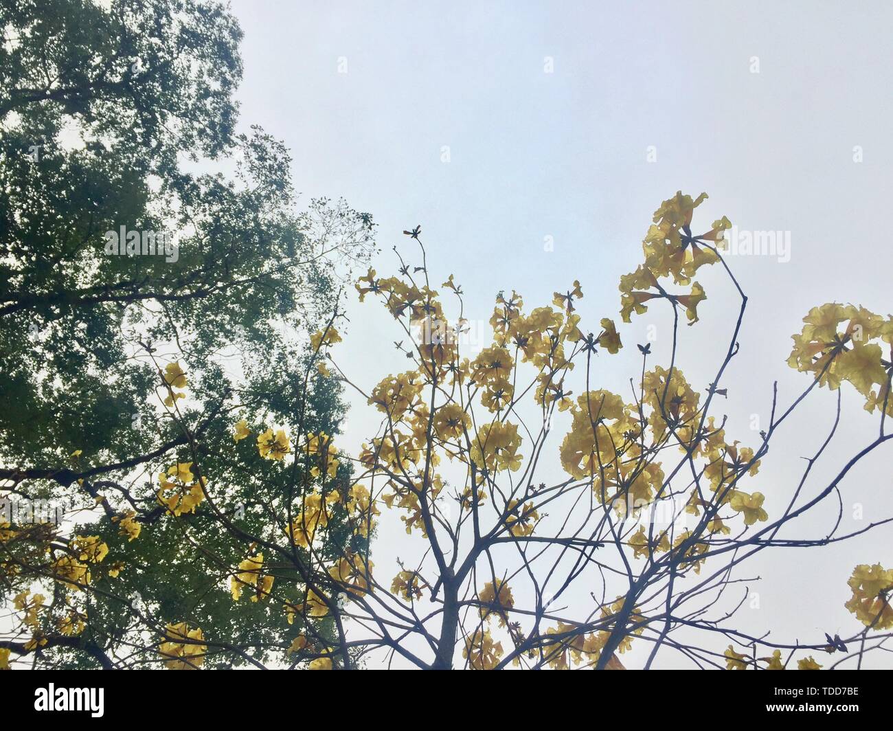 Second hand house hi-res stock photography and images - Alamy