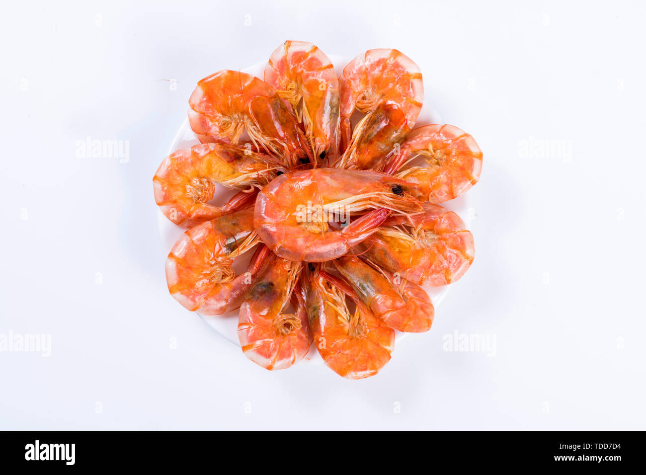 Brine prawns hi-res stock photography and images - Alamy