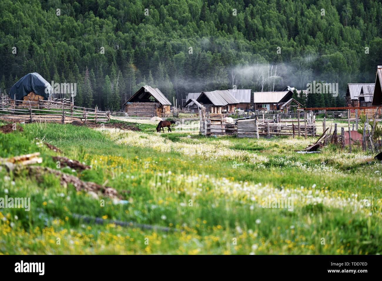 Despicable grazing dry meadows hi-res stock photography and images - Alamy