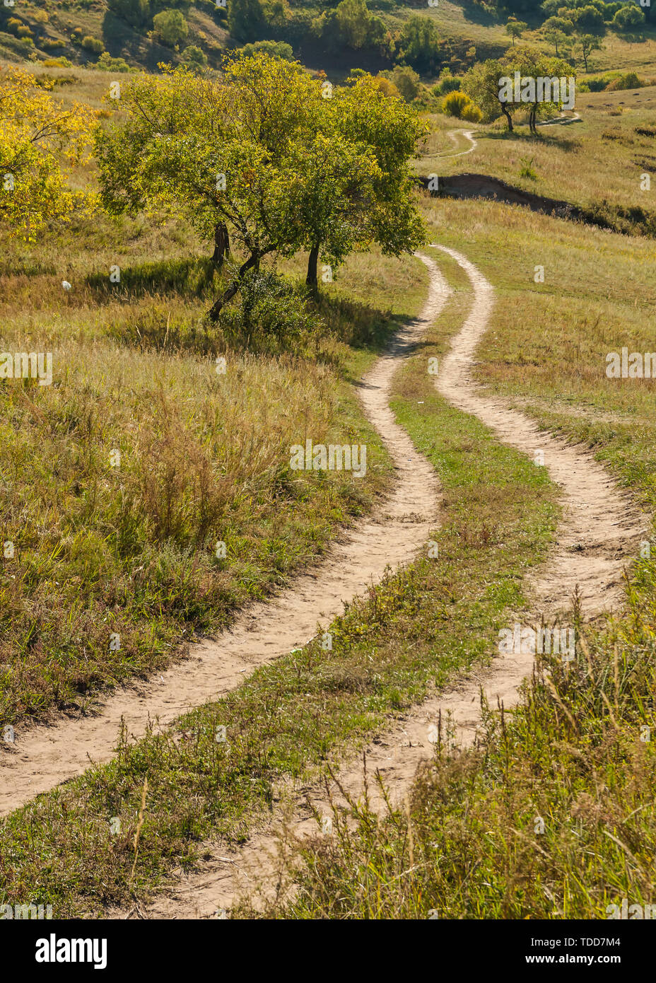 A road pressed by wheels on the prairie Stock Photo - Alamy