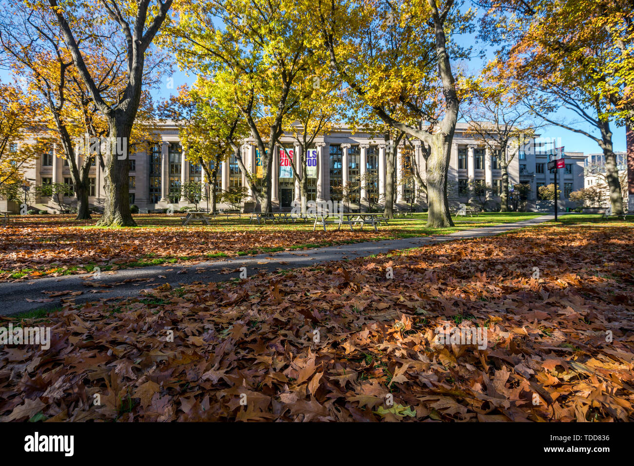 Harvard University Fall Campus Landscape Stock Photo - Alamy