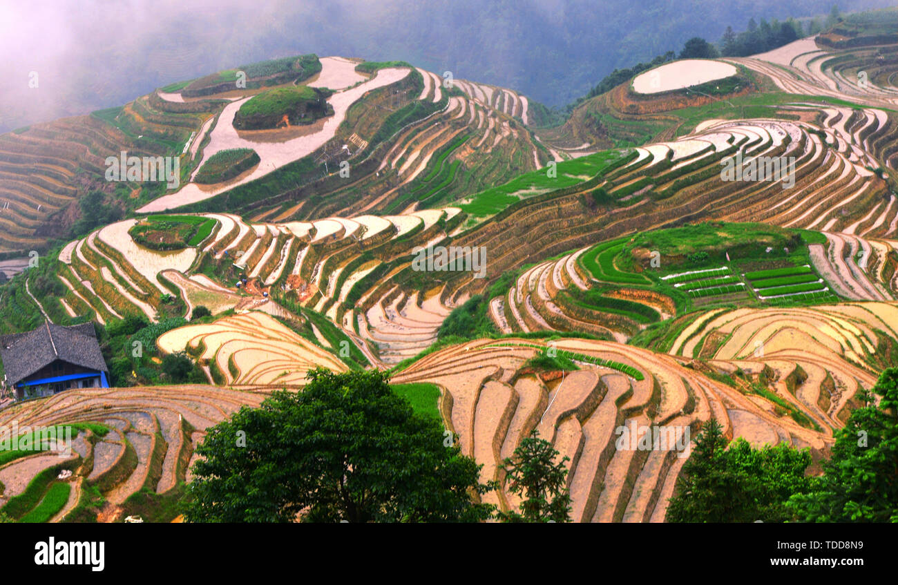 Guangxi dragon ridge terraces beautiful world Stock Photo - Alamy