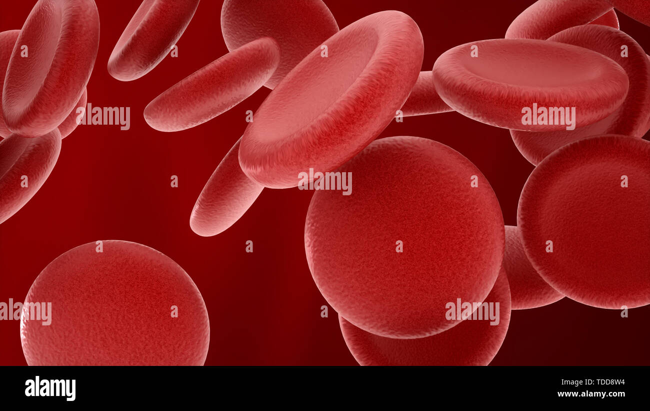 Platelet model hi-res stock photography and images - Alamy
