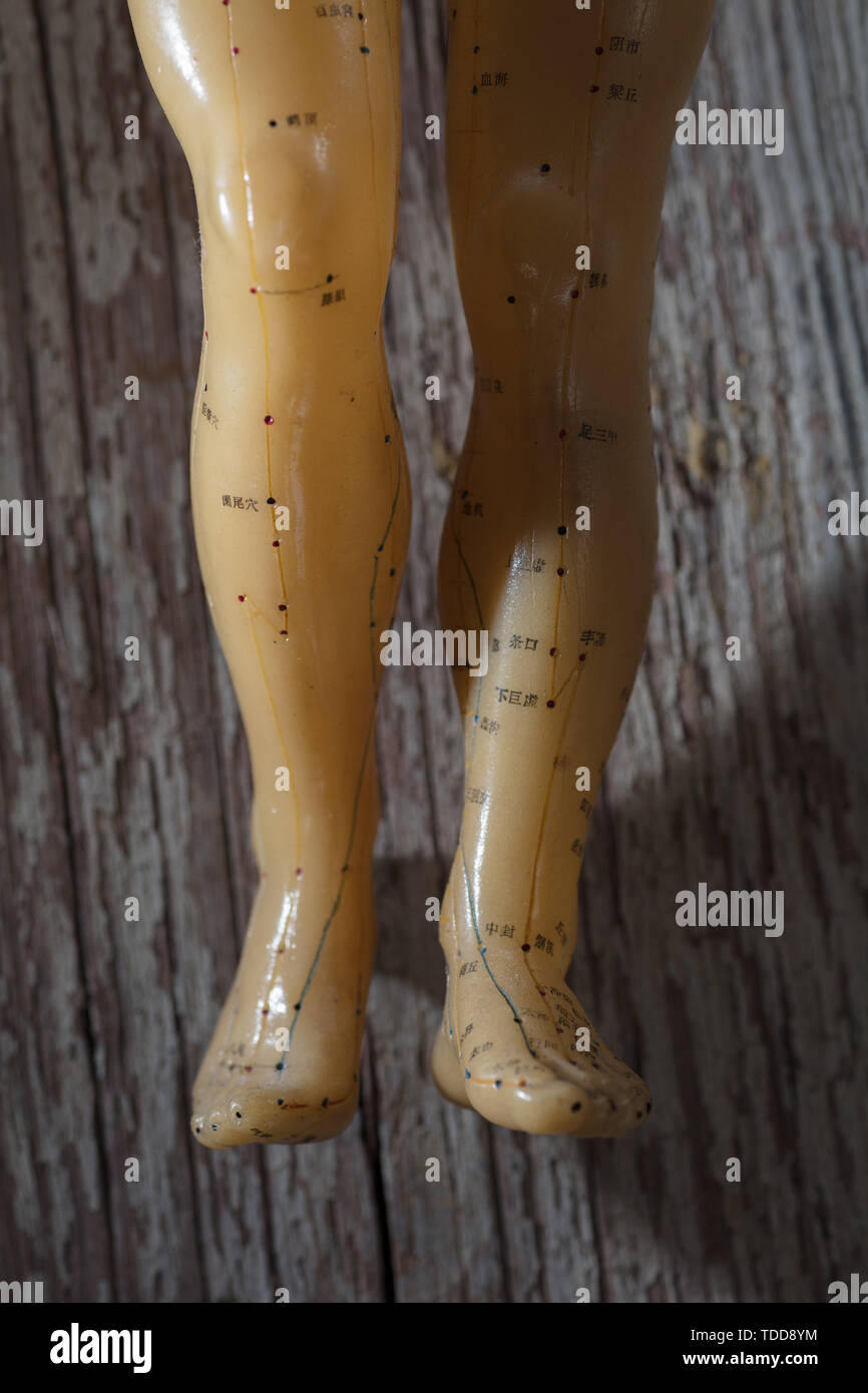 Acupuncture model human body hi-res stock photography and images - Alamy