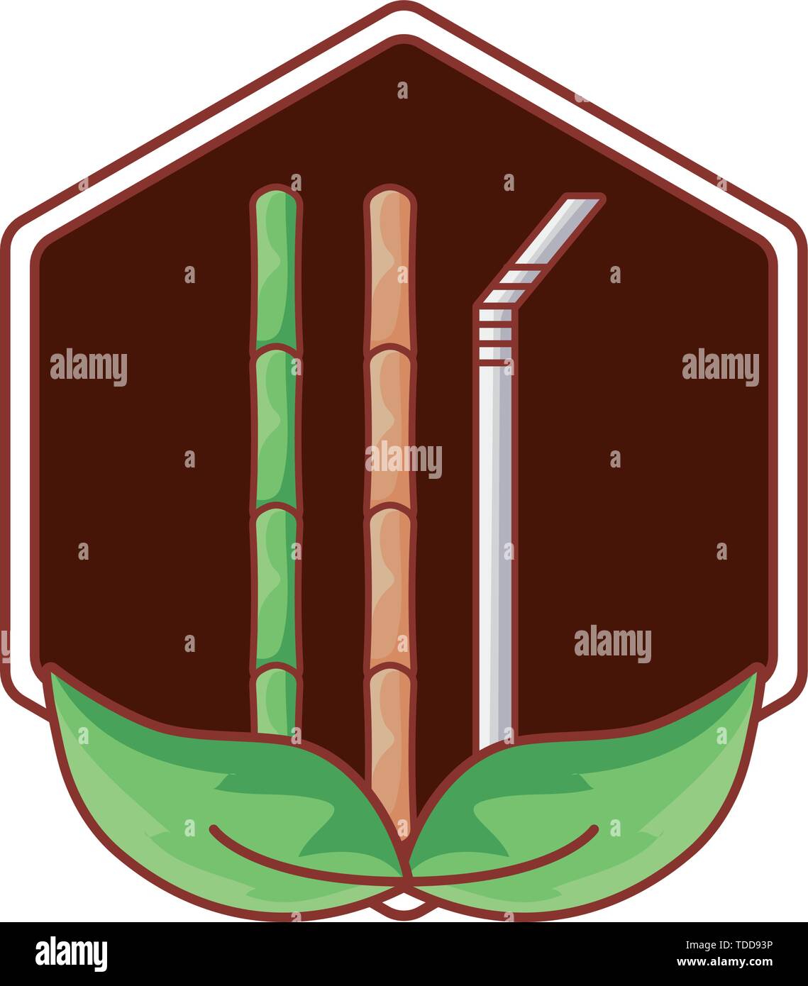 bamboo and straw in frame with leafs vector illustration design Stock ...