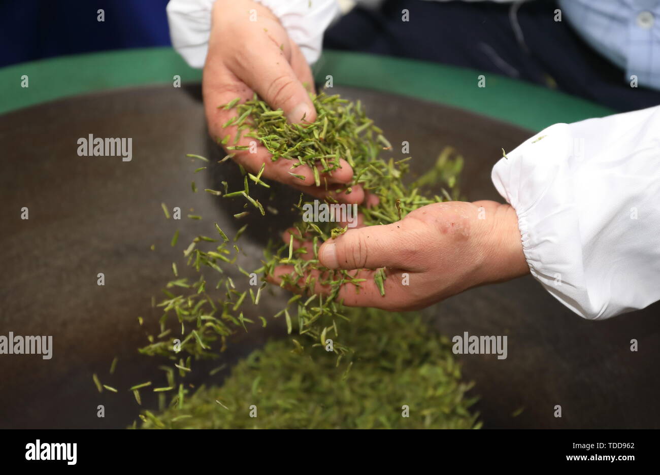 Hand fried tea hi-res stock photography and images - Alamy