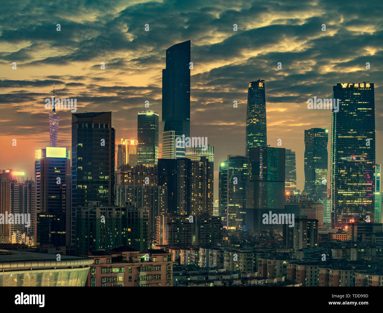 Large forest ecosystems Stock Photo - Alamy