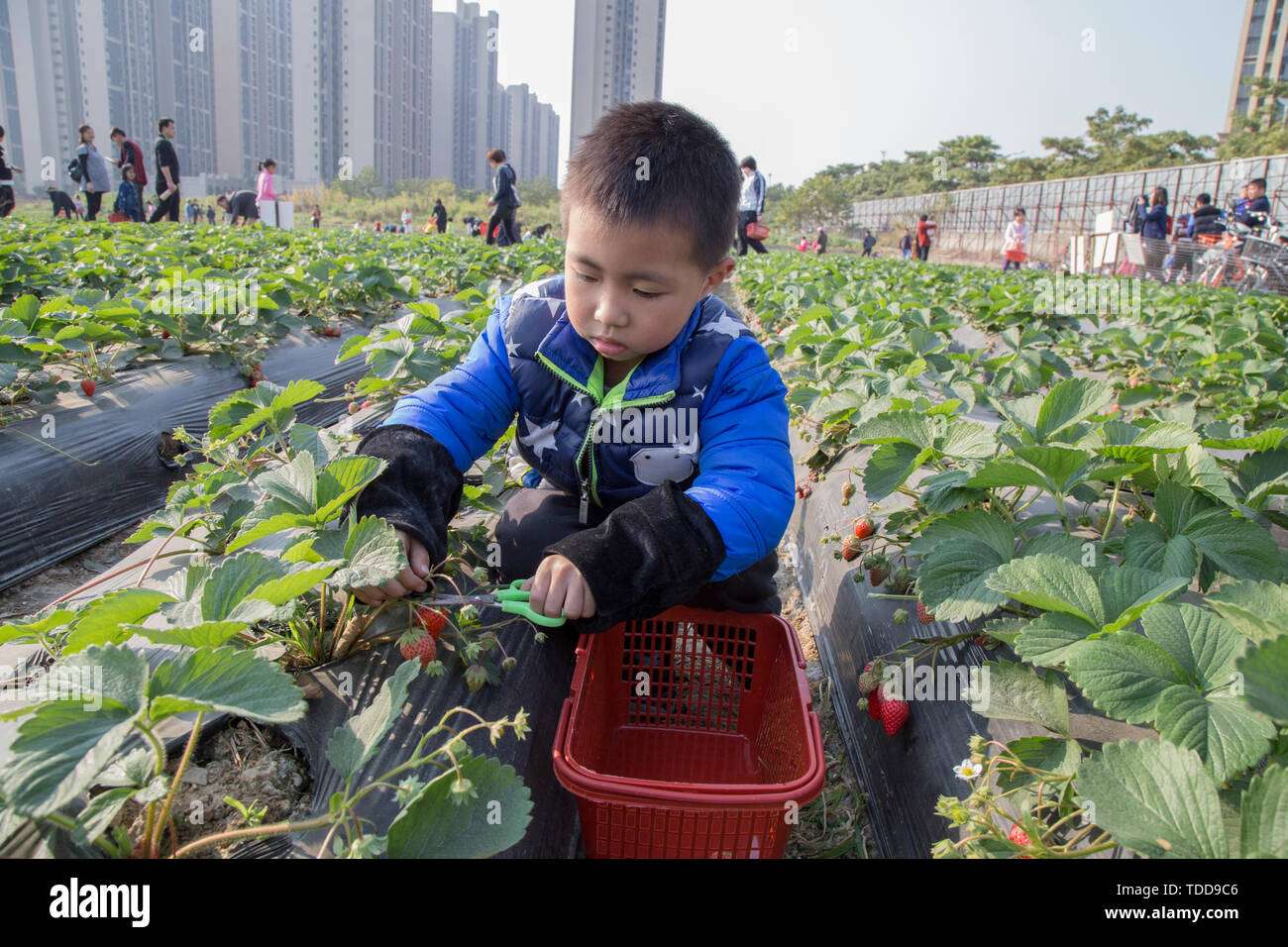 Pick interaction hi-res stock photography and images - Alamy