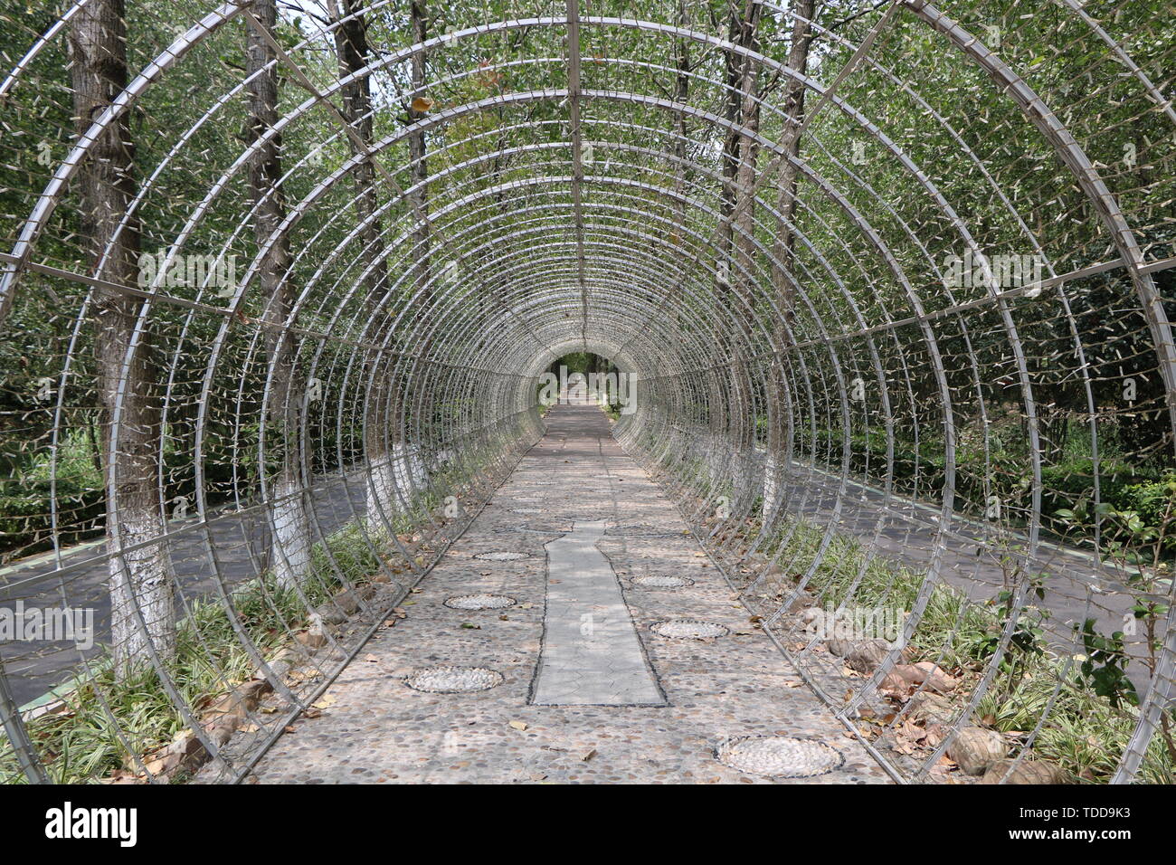 End of the forest road Stock Photo - Alamy