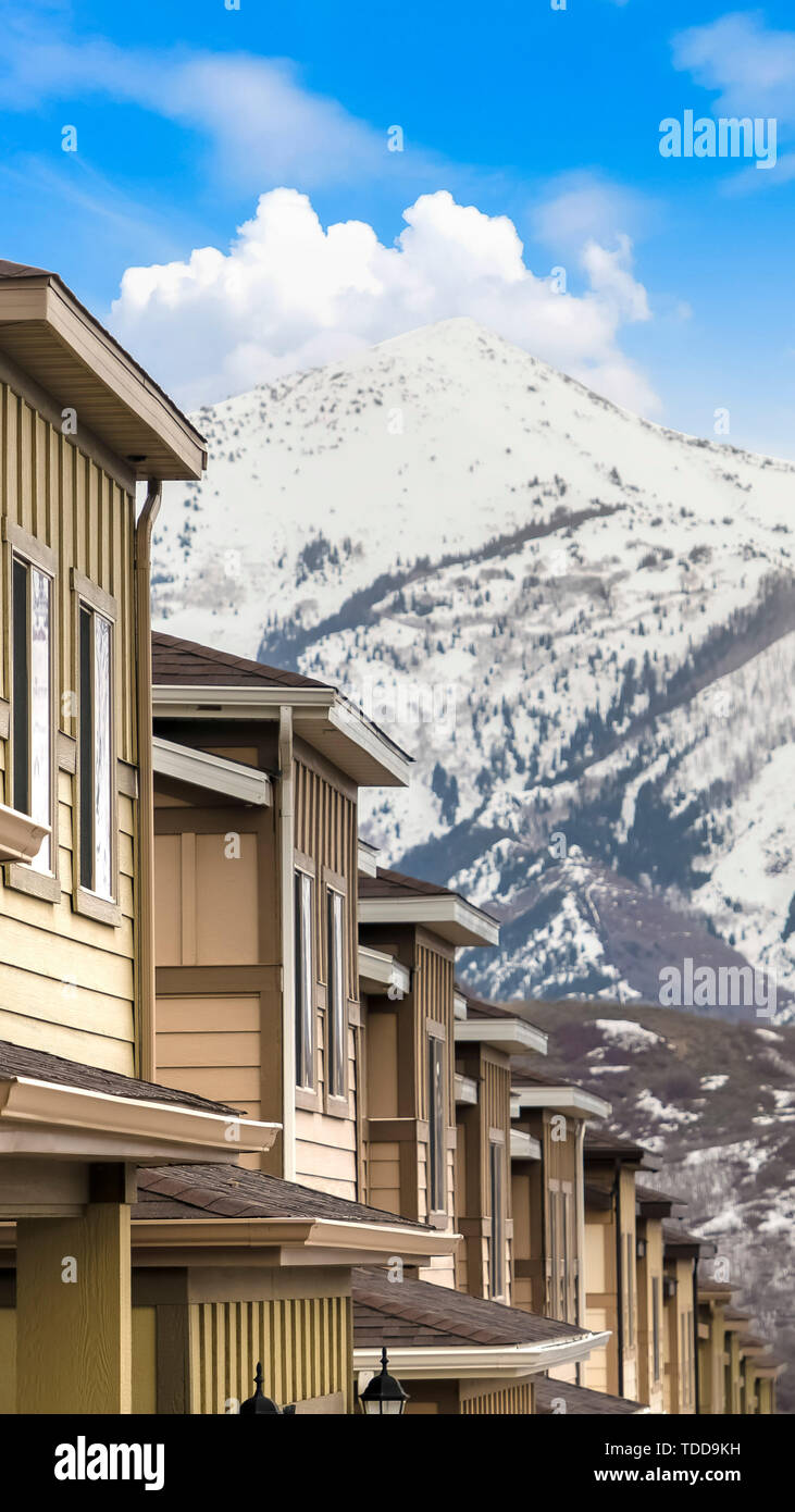 Vertical frame Row of houses with view of a mountain blanketed with ...
