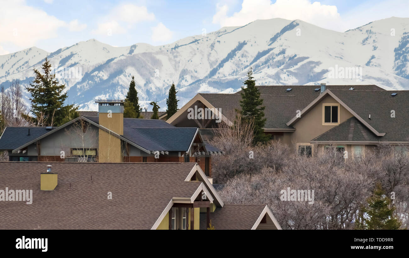 Panorama Exterior view of homes amid snow covered ground and trees in ...