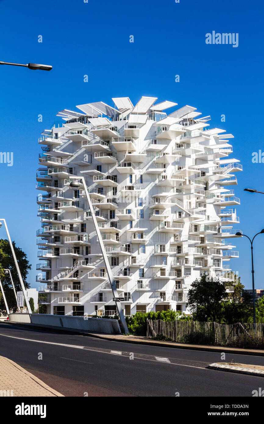 L’arbre blanc hi-res stock photography and images - Alamy