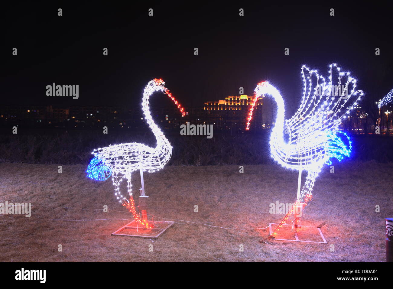 Spring Festival lanterns Stock Photo - Alamy