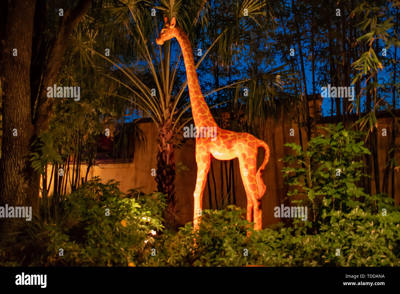 Orlando , Florida. May 03, 2019. Colorful giraffe in Animal Kingdom at ...