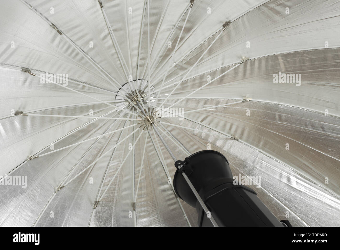 Studio lighting isolated on white Stock Photo - Alamy