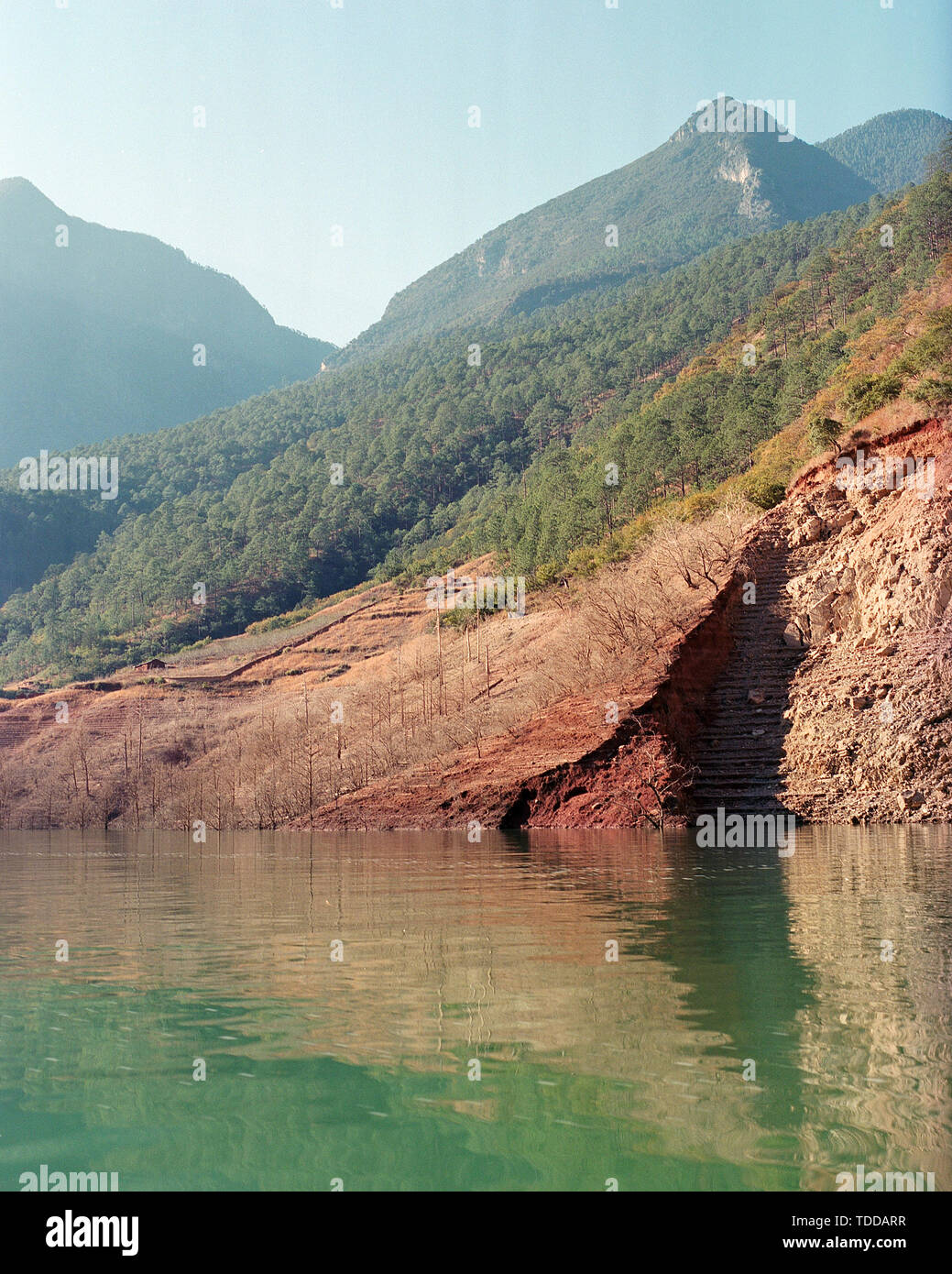 Rivers and scenic trees and coasts hi-res stock photography and images ...