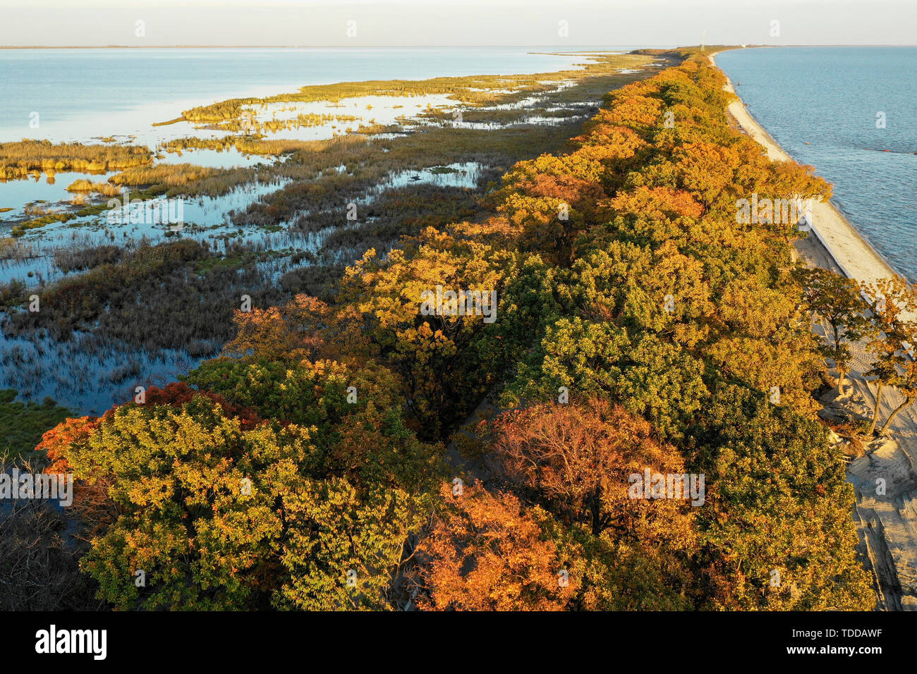 Sino-Russian border lake Xingkai lake autumn color Stock Photo - Alamy