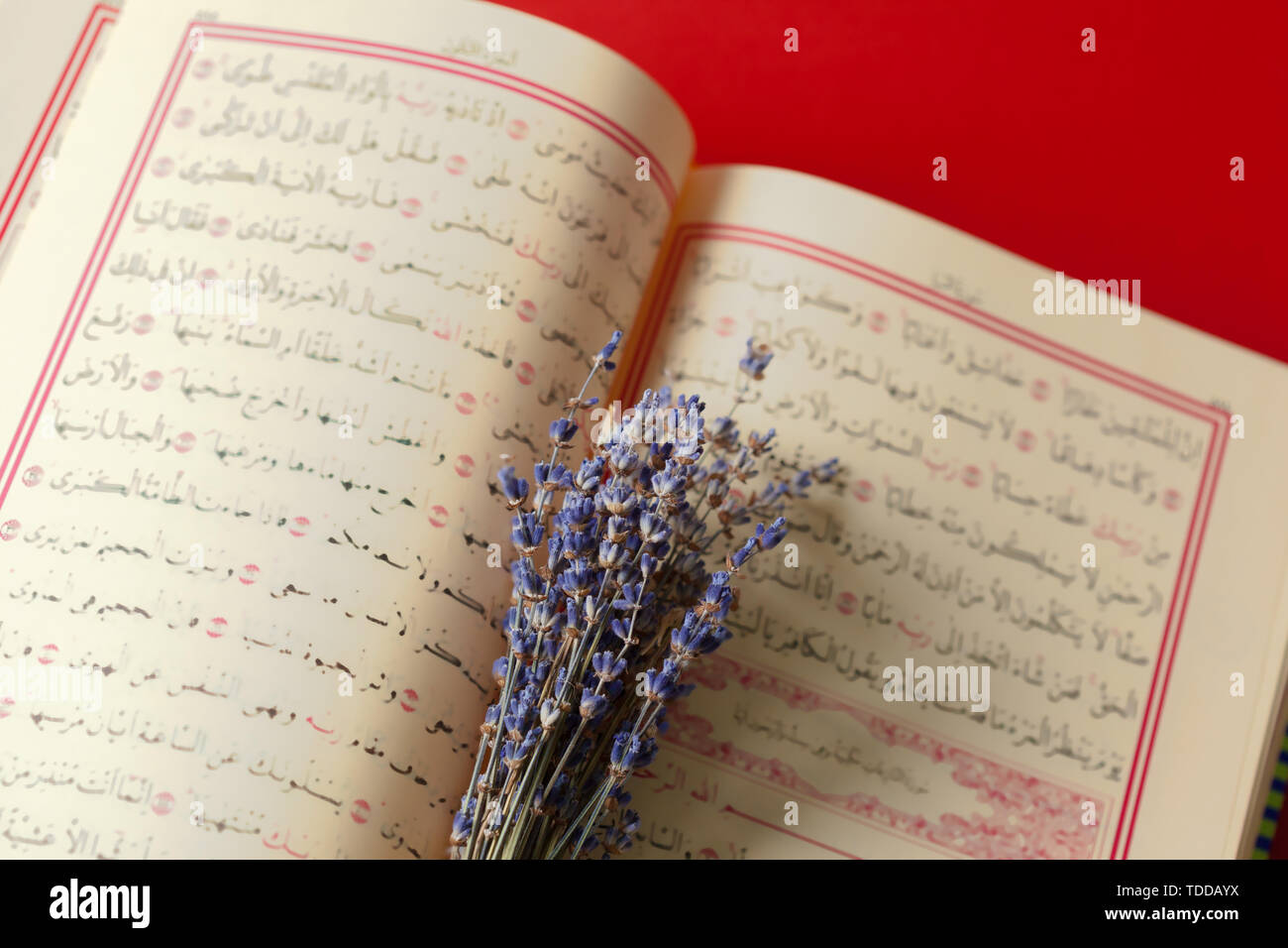 Quran holy books of muslims hi-res stock photography and images - Alamy