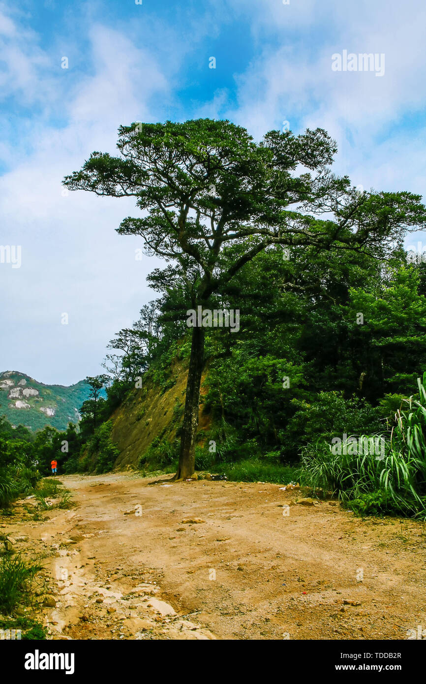 Luofu hi-res stock photography and images - Alamy