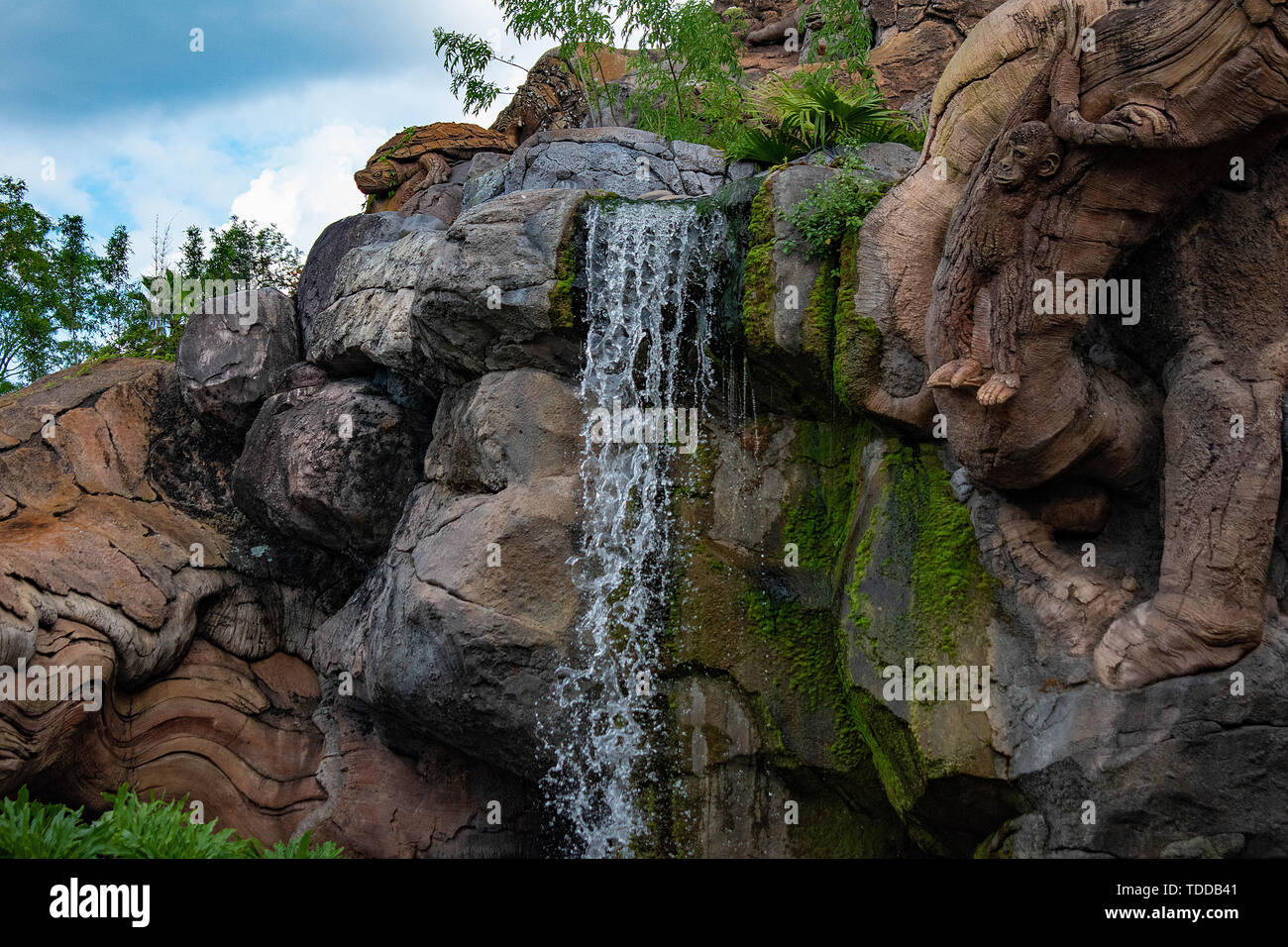 Orlando , Florida. May 03, 2019. Top view of waterfalls in Animal ...