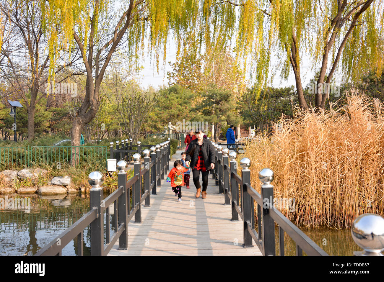 Guta park hi-res stock photography and images - Alamy